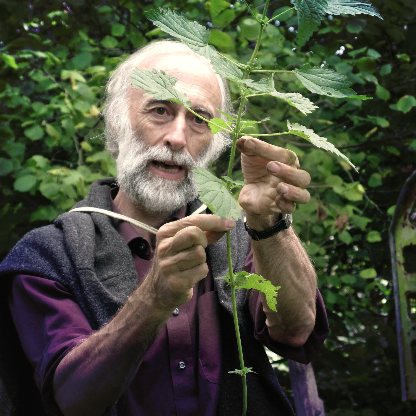 Florin Jean-Michel | Editions Amyris